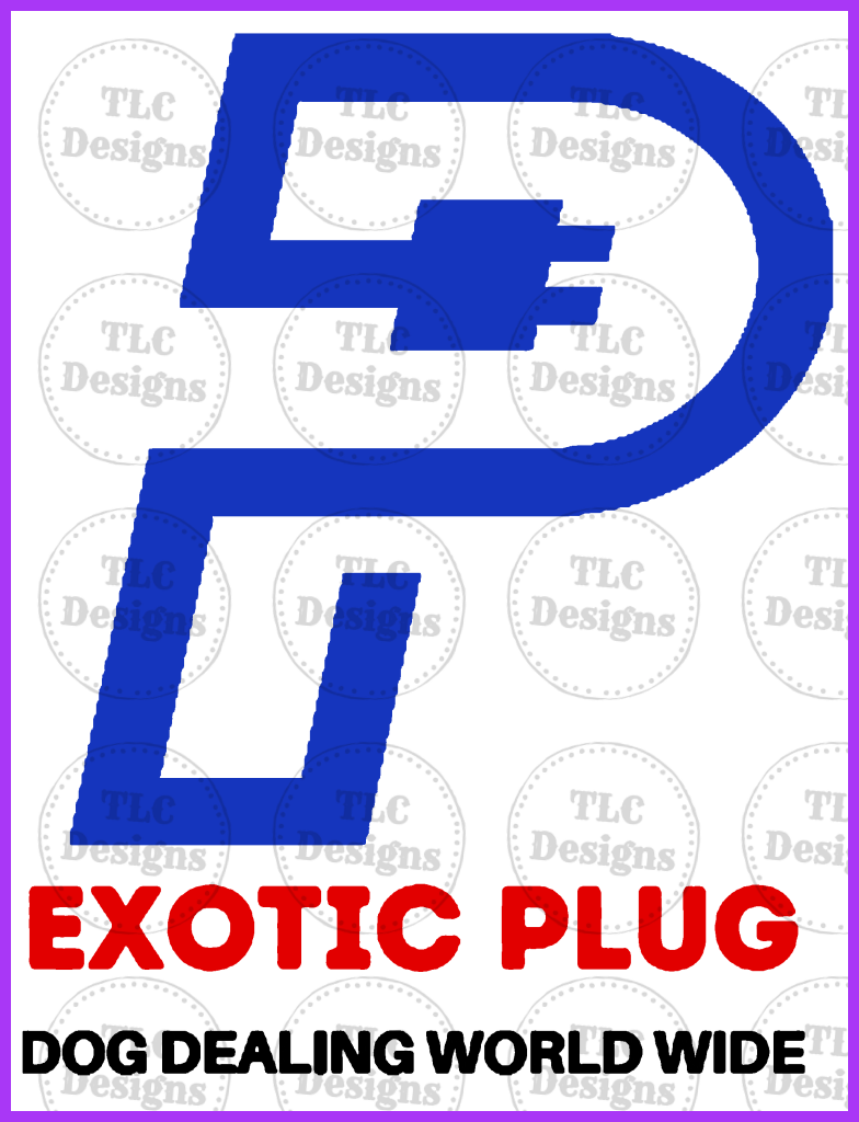 Exotic plug – TLC Designs and Customs, LLP